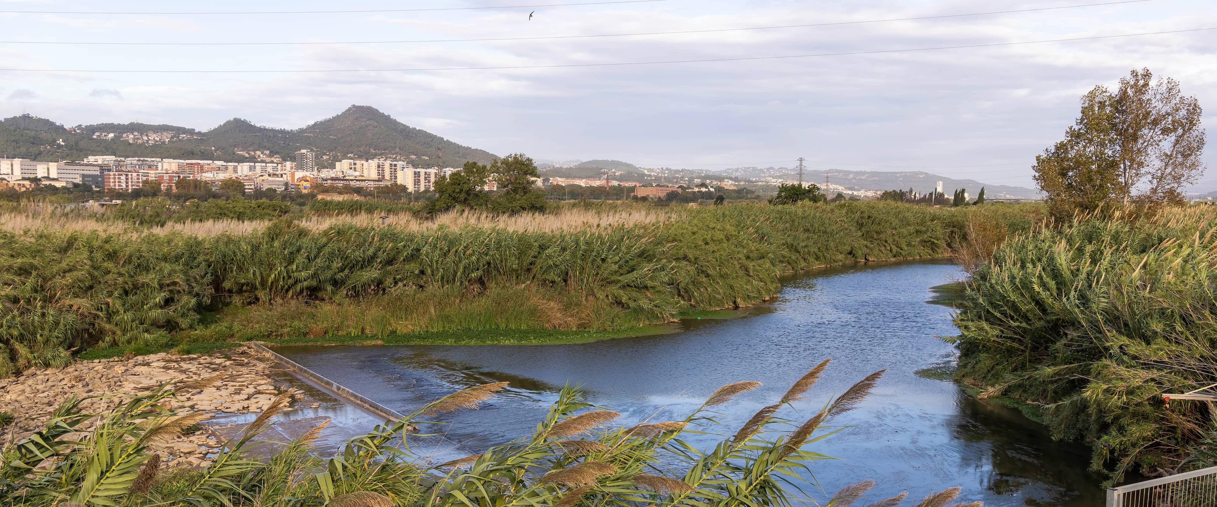 Coincidint amb el Dia Mundial del Medi Ambient, Aigües de Barcelona reafirma la seva aposta per ...